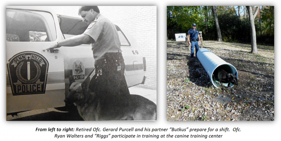Canine Division | Penn Hills Police Department